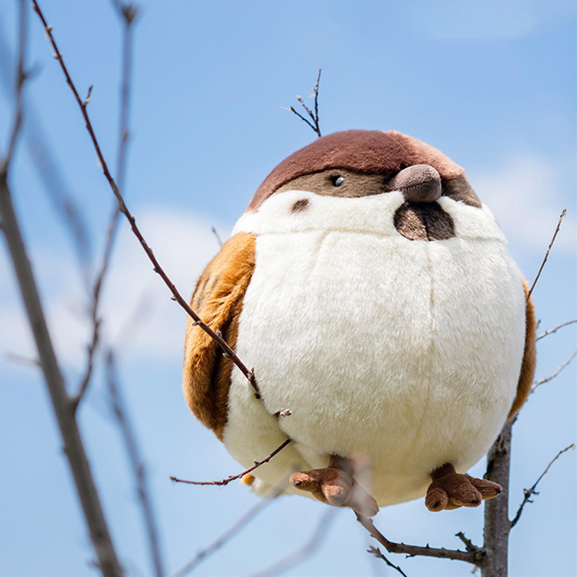 Chubby Sparrow Plush Toy, Soft Plush Stuffed Animal Plushie, Fat ...