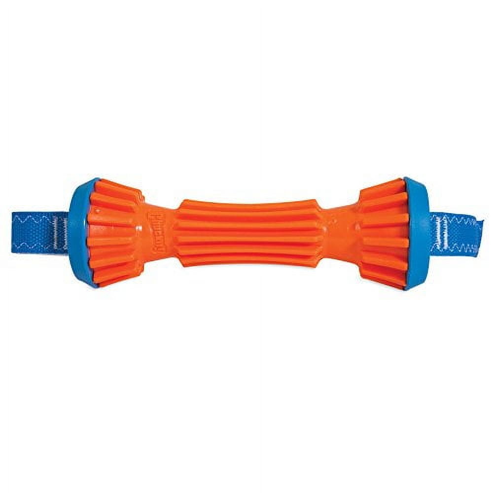 ChuckIt! Rugged Bumper Rubber Fetch Dog Toy with Nylon Straps, Small ...