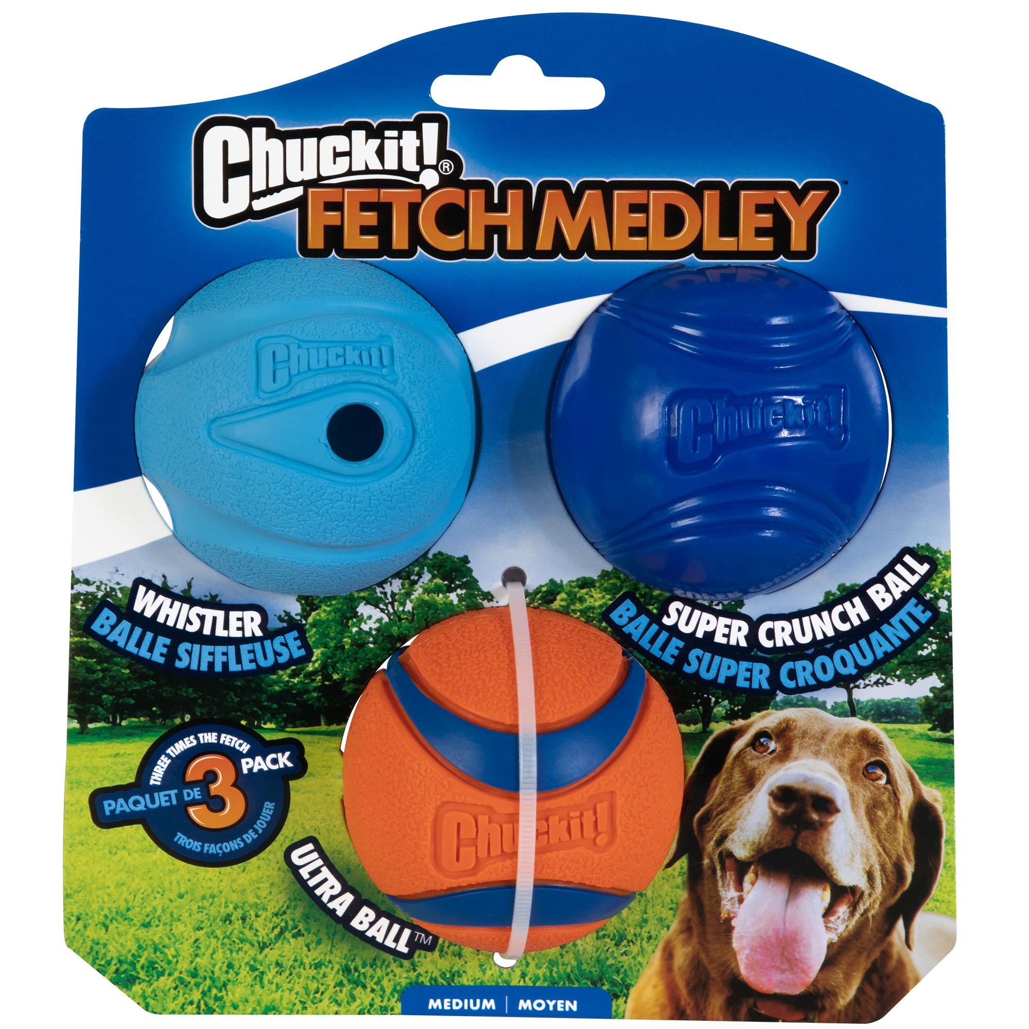 Vibrant Life Fetch Buddy Interactive Ball Dog Fetch Toy, Color May Vary ...