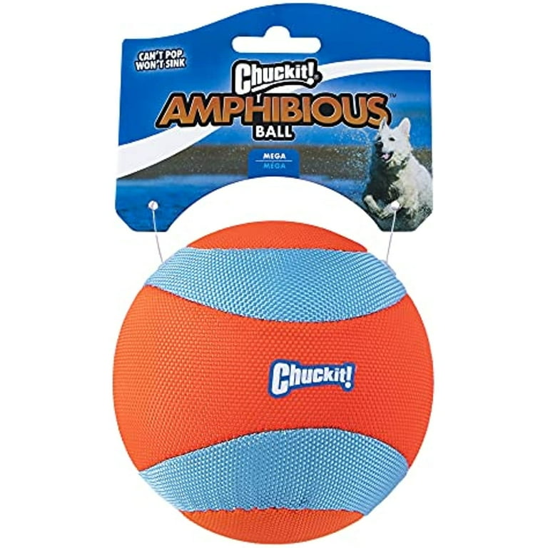 Floating dog ball store