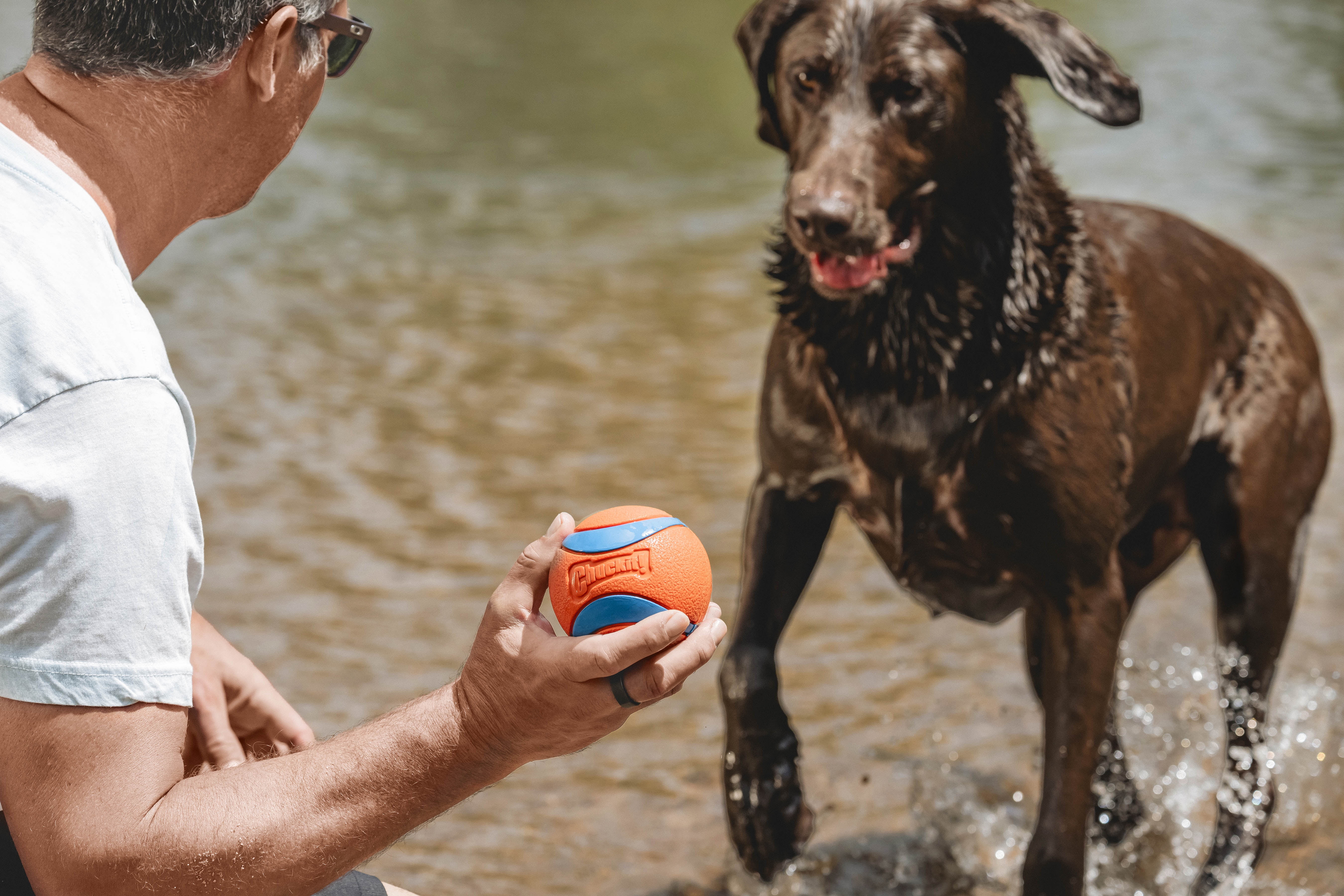 Chuckit!, Ultra Dog Ball Rubber Fetch Toy, 3.5'', XL Extra Large ...