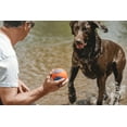 Chuckit!, Ultra Dog Ball Rubber Fetch Toy, 3.5'', XL Extra Large ...
