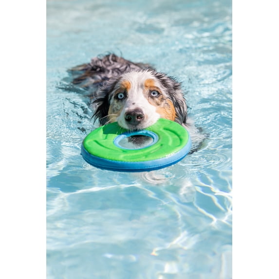 Chuckit!, Flying Disc, 8.5" Zipflight Polyester Frisbee Dog Toy Floats ...