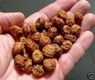 Chufa Seed - 20 Lbs. - Walmart.com