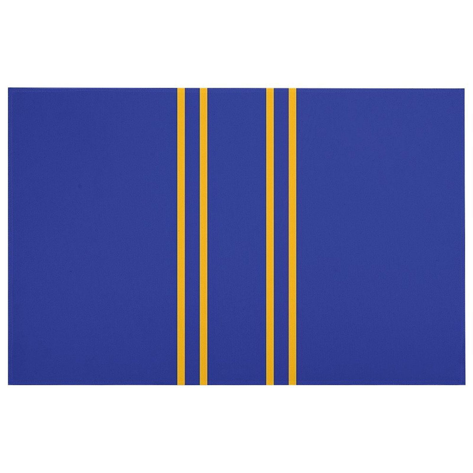 Chun Li Collant Stripes Adult Home Decor Bedroom Living Room Crystal ...