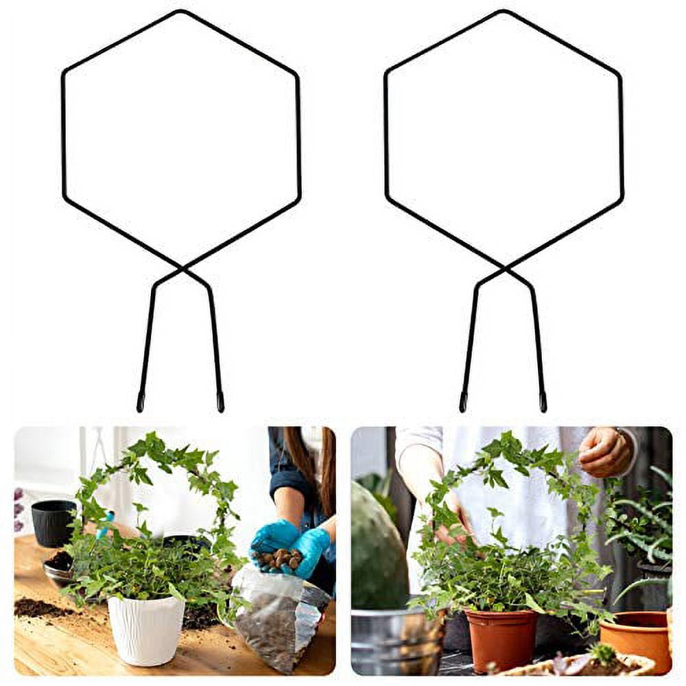 Chunhong 2 Pack Iron Garden Trellis for Climbing Plants- Rust Free Vine Plant Metal Support Wire ...