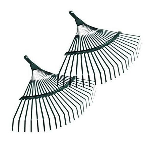 Carpet Rakes