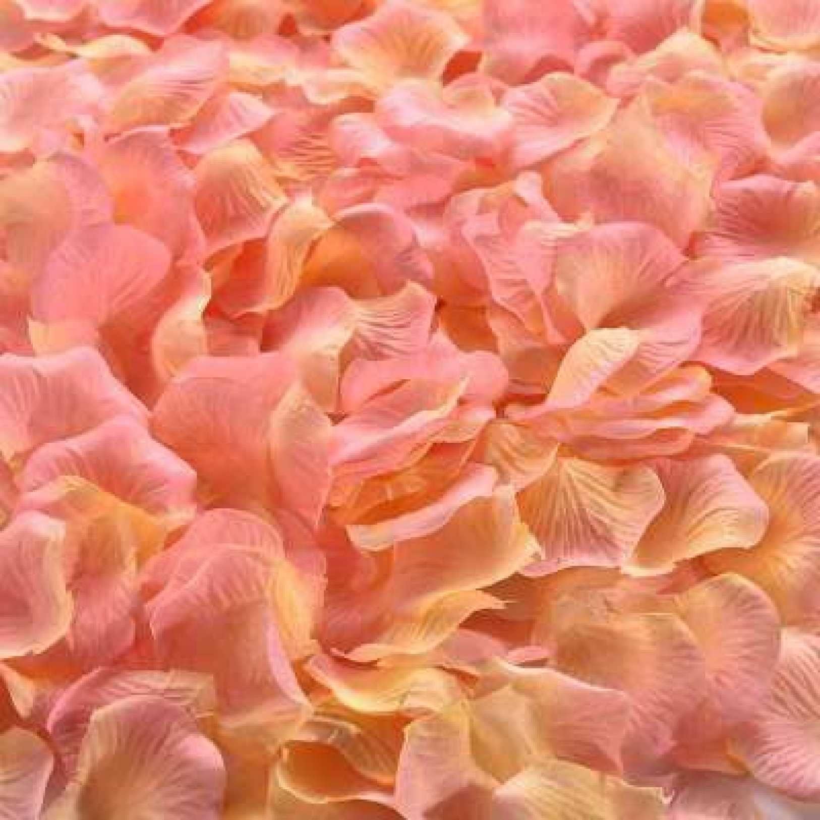 ChyJoey 1000-3000 Pieces Separated Artificial Rose Petals, Fake Non ...