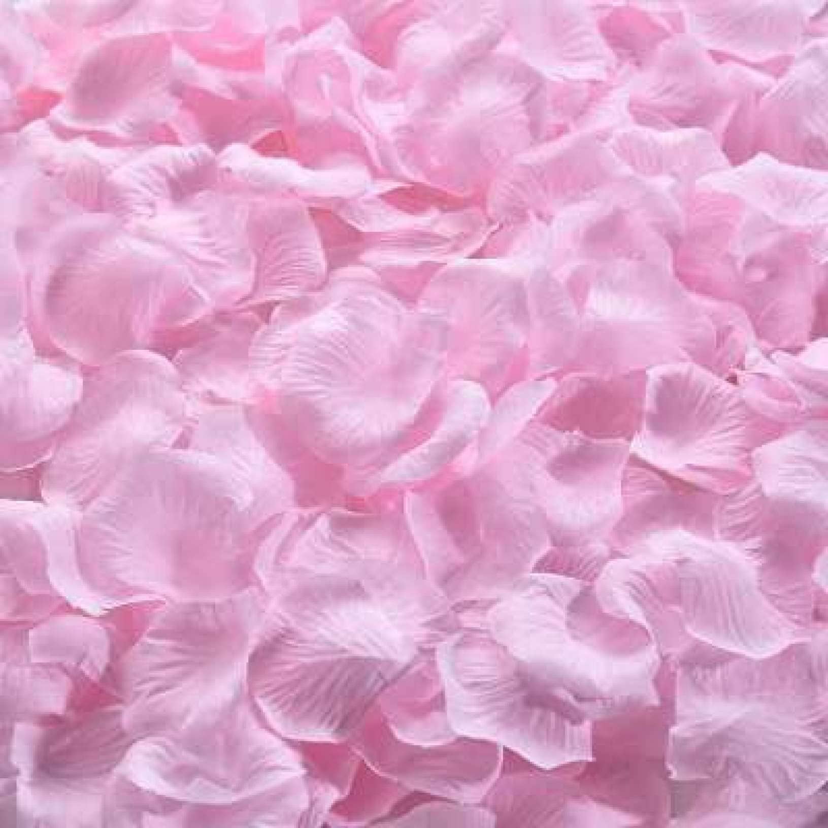 ChyJoey 1000-3000 Pieces Separated Artificial Rose Petals, Fake Non ...
