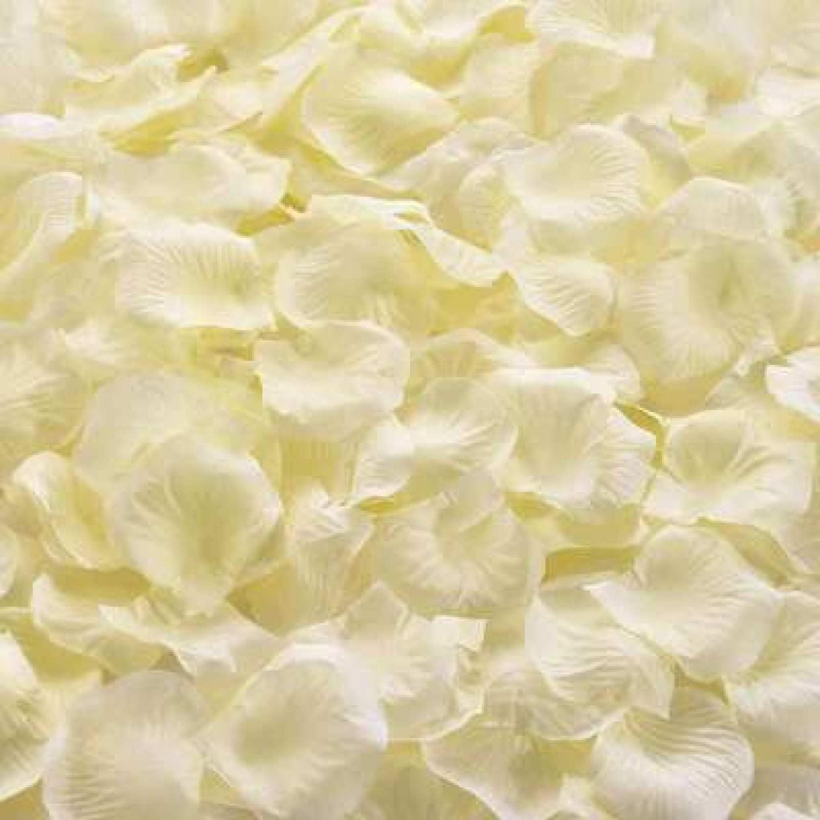 ChyJoey 1000-3000 Pieces Separated Artificial Rose Petals, Fake Non ...
