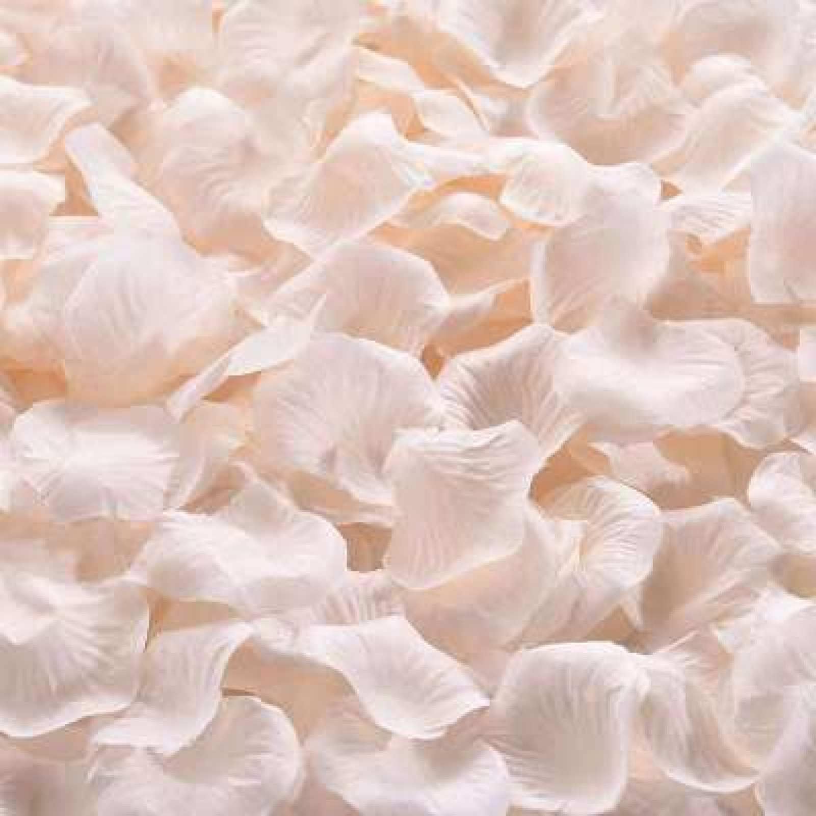 ChyJoey 1000-3000 Pieces Separated Artificial Rose Petals, Fake Non ...