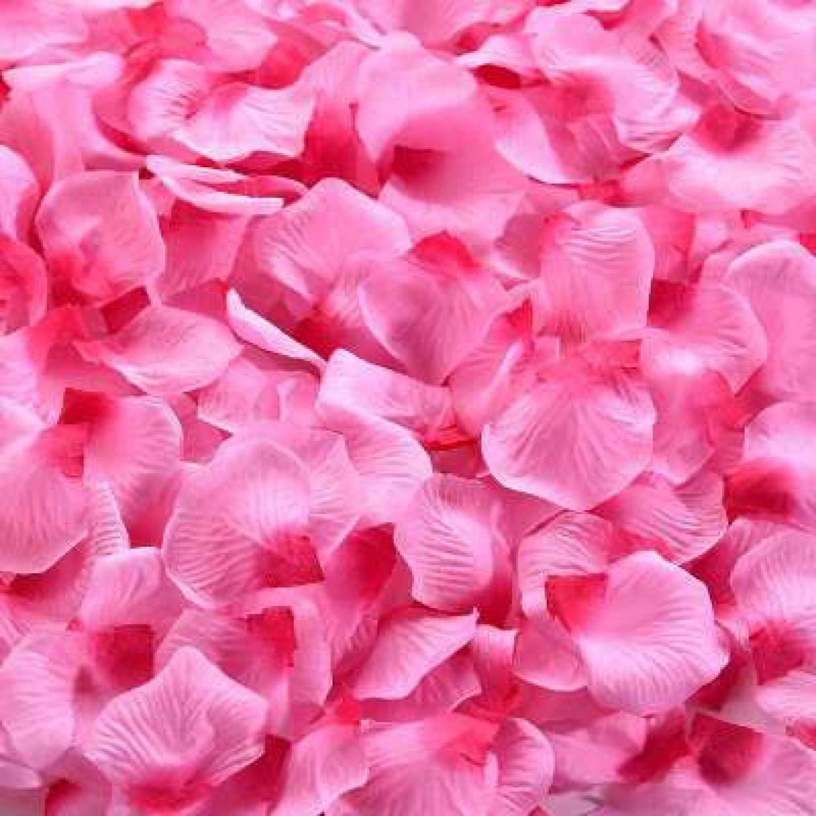 ChyJoey 1000-3000 Pieces Separated Artificial Rose Petals, Fake Non ...
