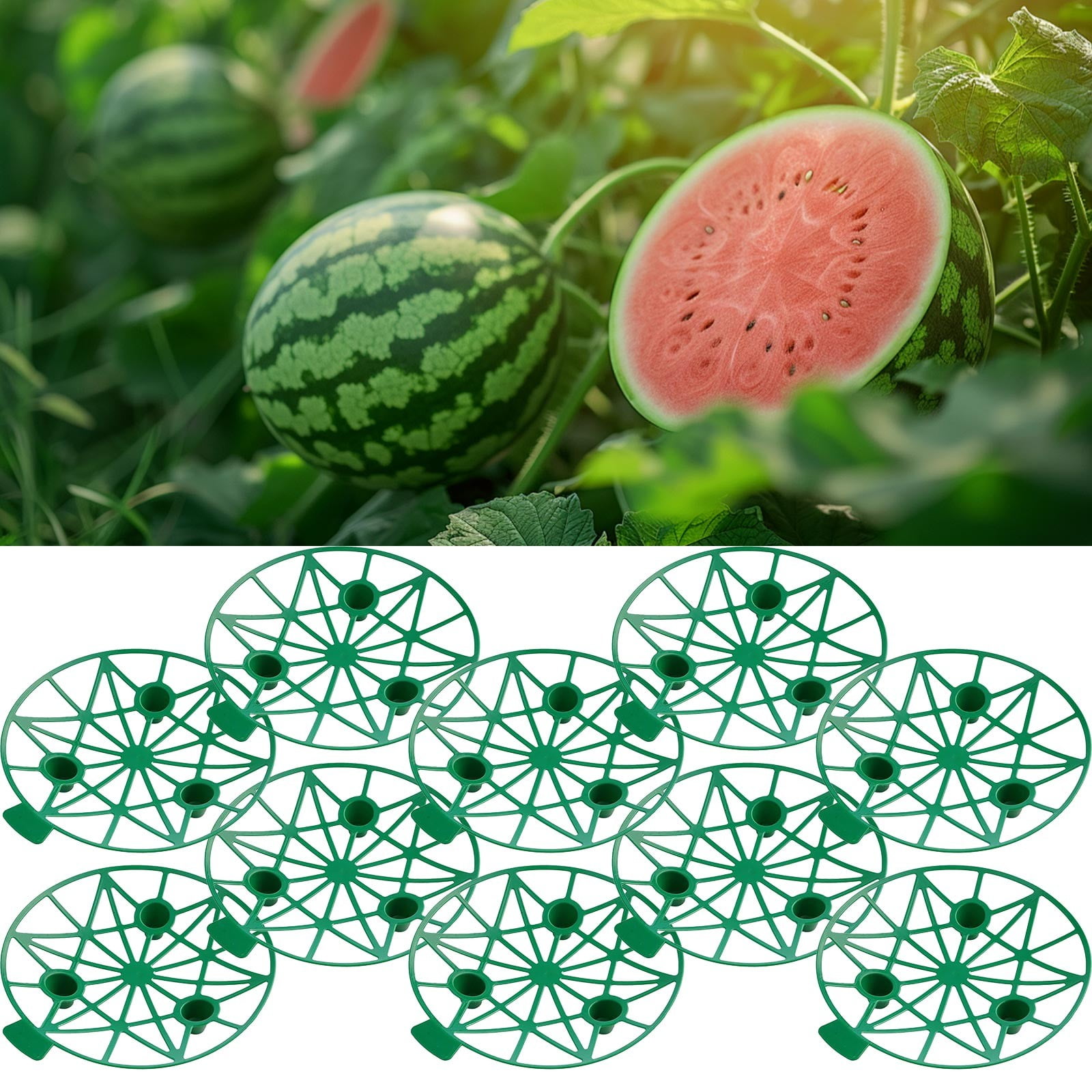 Chziua Insect Protection Netting 10 Packs Melon Cradle Pumpkin Stand ...