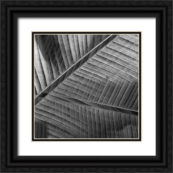 Ciappara Lrps., Simon 12x12 Black Ornate Wood Framed with Double ...