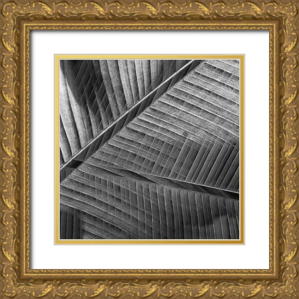 Ciappara Lrps., Simon 26x26 Gold Ornate Wood Framed with Double Matting ...