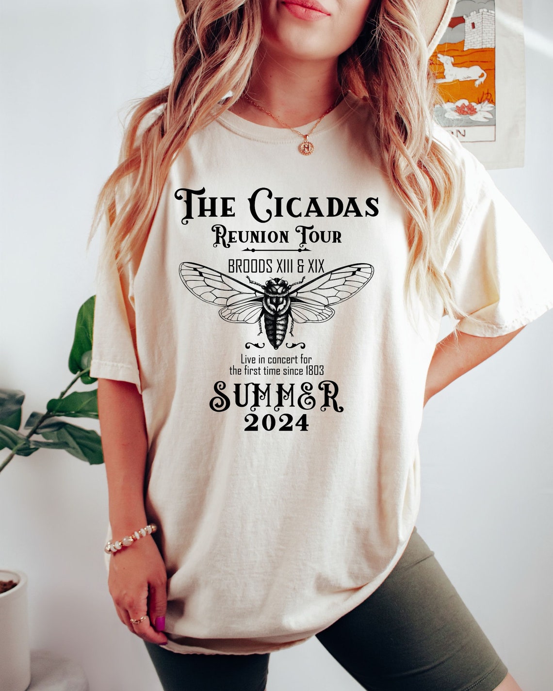 Cicada Band Shirt Cicada Concert Tour 2024 Comfort Colors Shirt Cicada ...