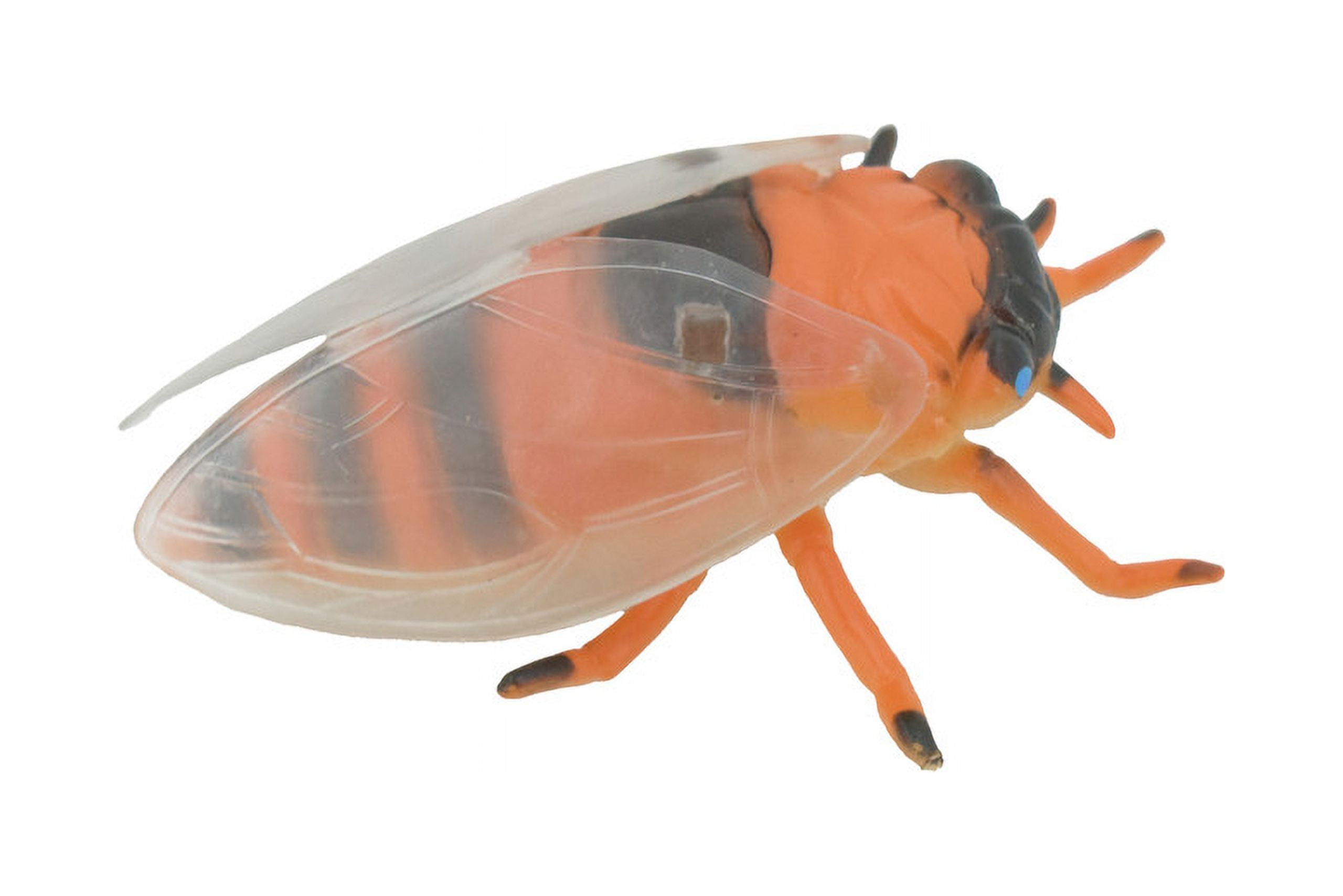 Cicada, Cicadas, Cicadoidea, Solid Rubber Insect, Educational, Toy ...