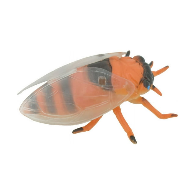 Cicada, Cicadas, Cicadoidea, Solid Rubber Insect, Educational, Toy ...