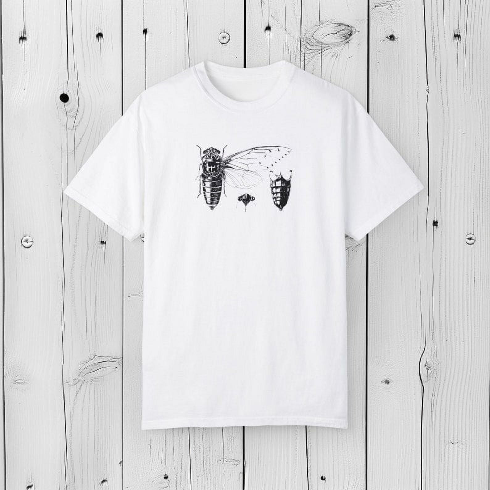 Cicada Graphic Tee Shirt, Insect Entomology Vintage Drawing Tshirt ...