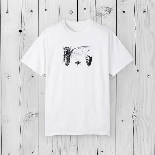 Cicada Graphic Tee Shirt, Insect Entomology Vintage Drawing Tshirt ...