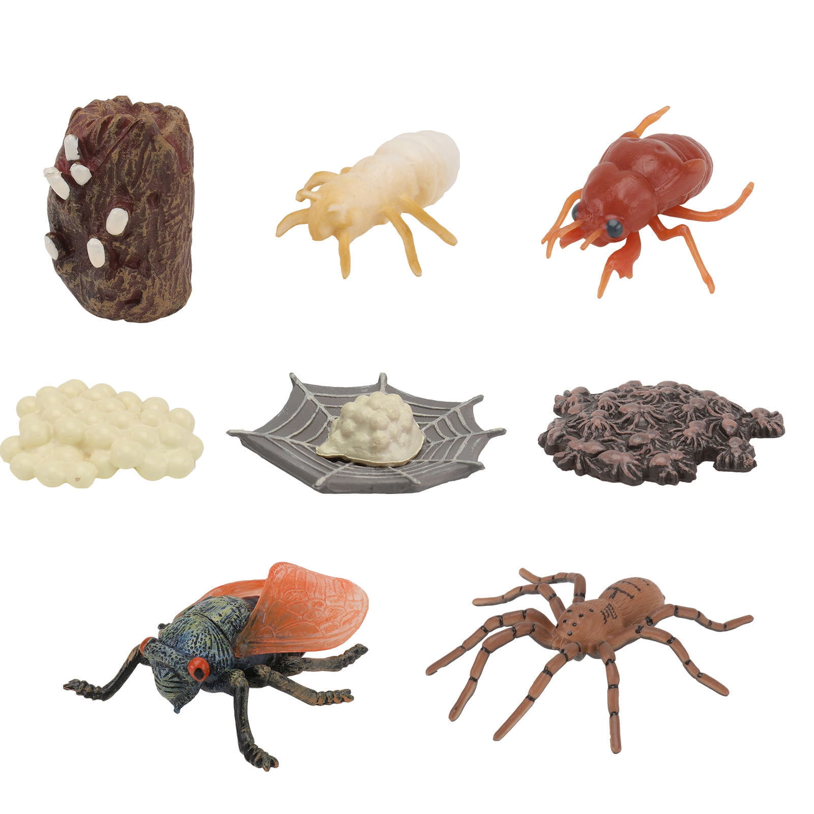 Cicada Growth Cycle Model,2 Sets of Imitation Insect Animal Growing ...