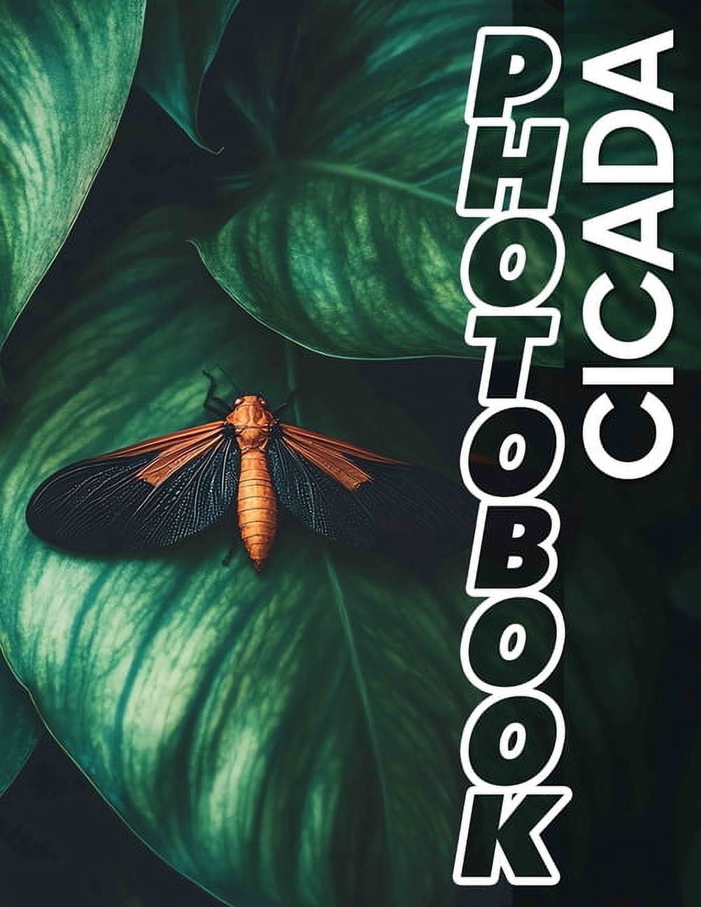 Cicada Photo Book: Explore 40 Stunning Images Showcasing The ...