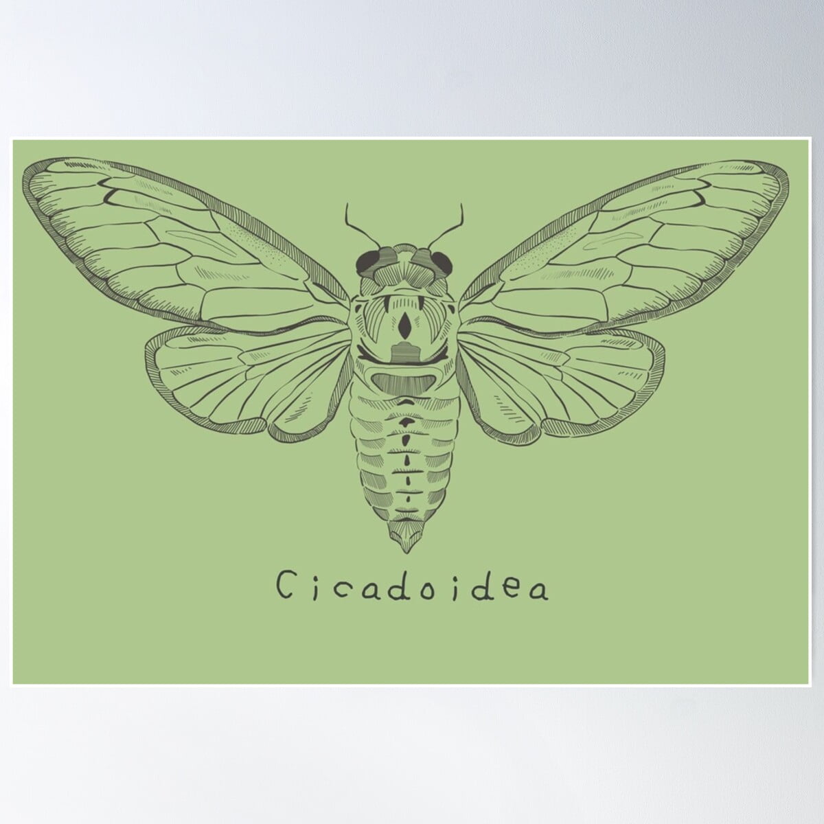 Cicada Poster Wall Art, Modern Wall Decor For Living Room Bedroom, 8x12 ...