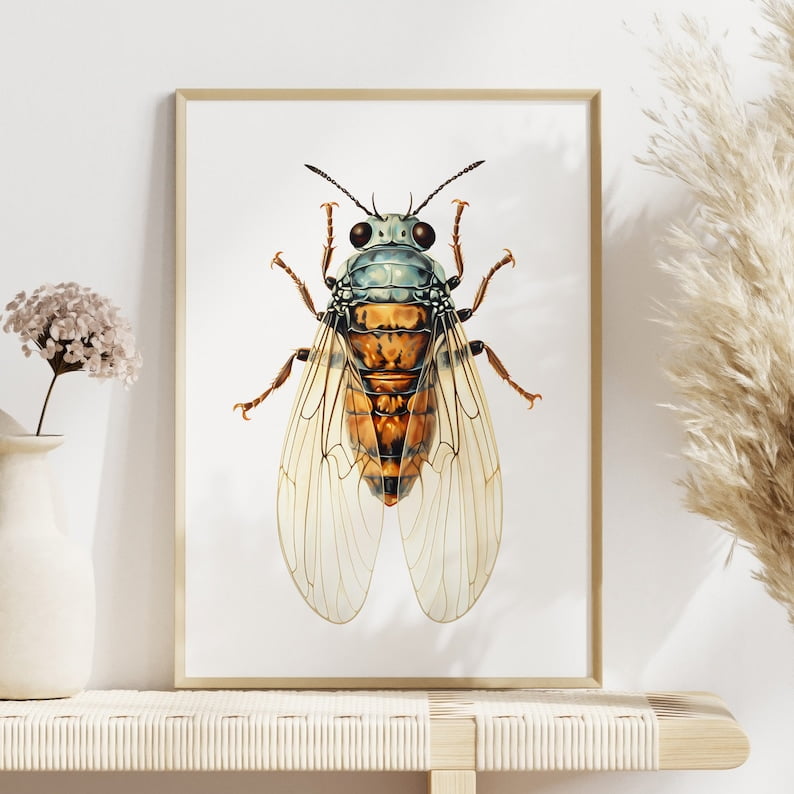 Cicada Print, Bug Print, Insect Print, Botanical Guide, Cicada, Wall Print, Bug Poster, Bug ...