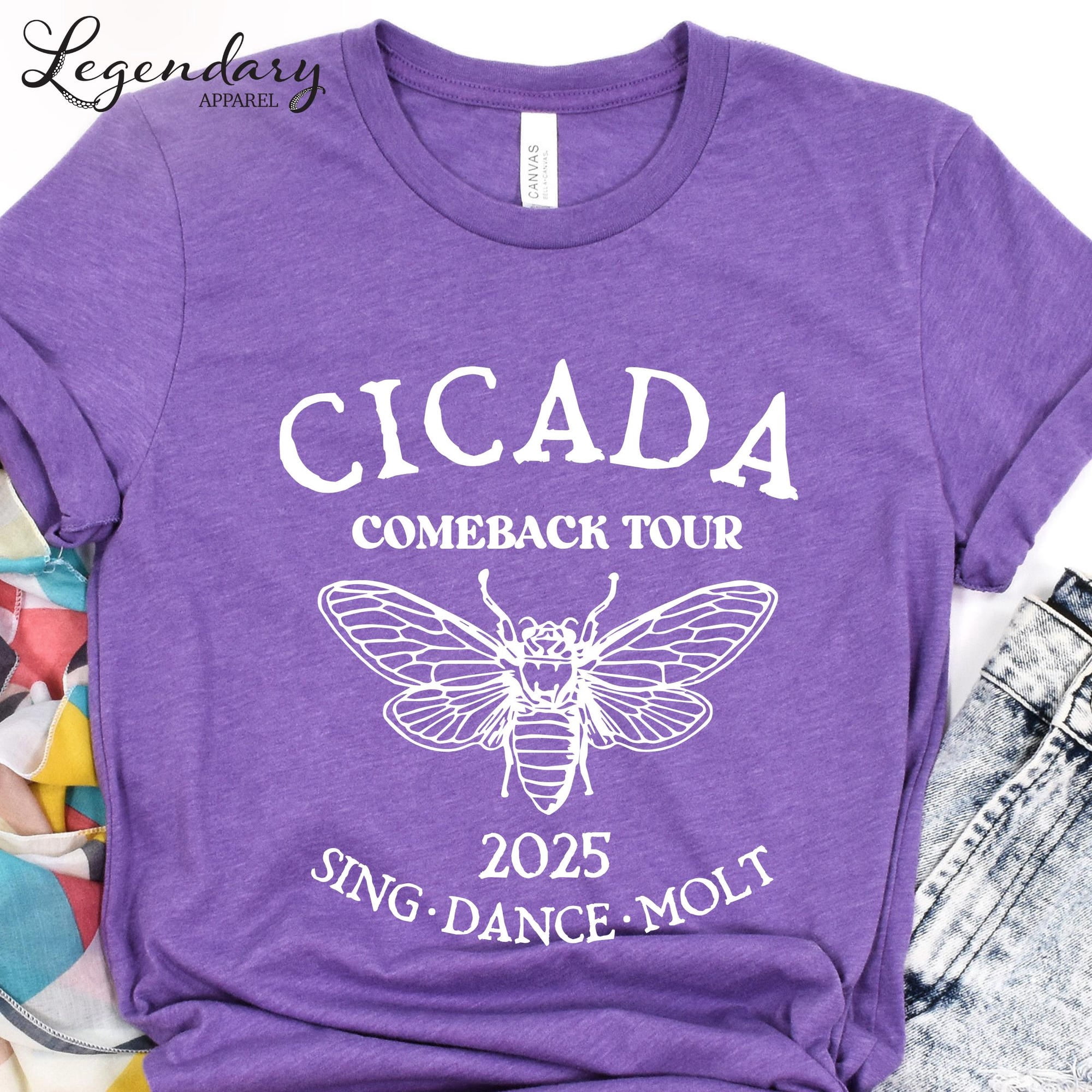 Cicada Shirt 2025 Cicada Reunion Tee Funny Cicada Concert Tshirt Bug ...
