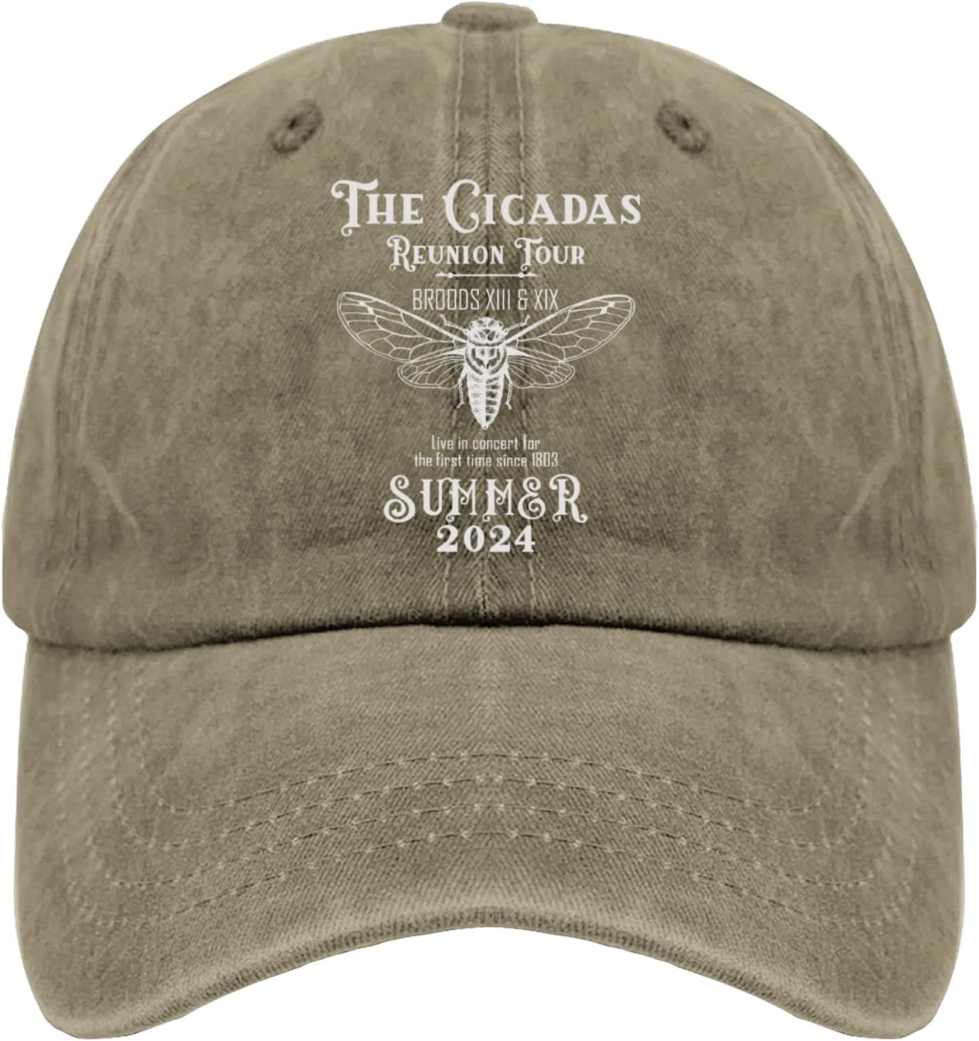 Cicada Tour 2024 Brood XIX Brood XIII 2024 Reunion Tour Hats for Mens ...