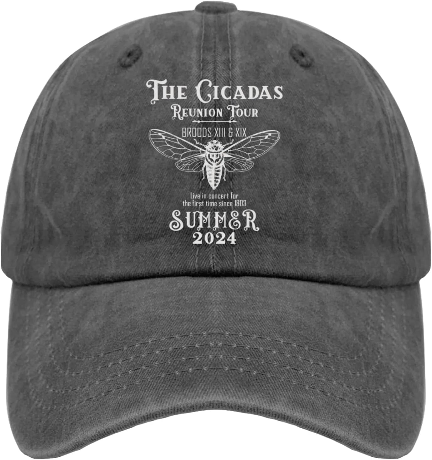 Cicada Tour 2024 Brood XIX Brood XIII 2024 Reunion Tour Hats for Mens ...