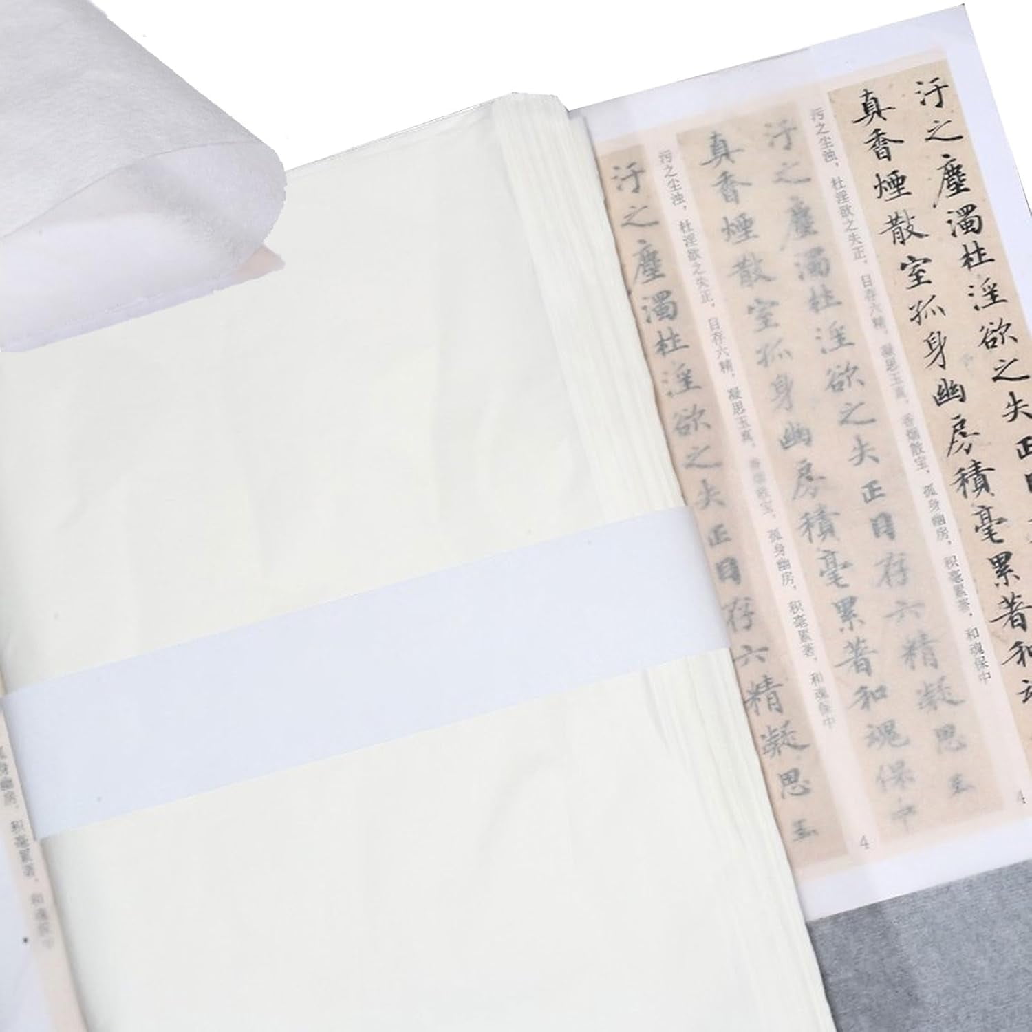 Cicada Wing Paper, Ancient Bamboo Pulp Handmade Rice Paper Cicada Wing ...