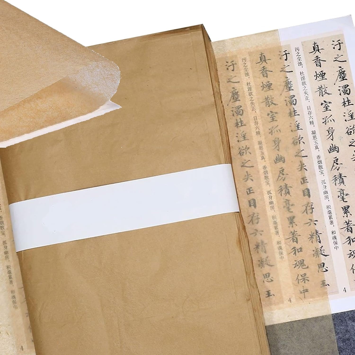 Cicada Wing Paper, Ancient Bamboo Pulp Handmade Rice Paper Cicada Wing ...