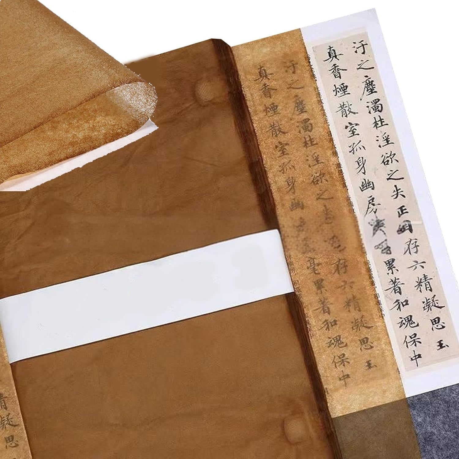 Cicada Wing Paper, Ancient Bamboo Pulp Handmade Rice Paper Cicada Wing ...