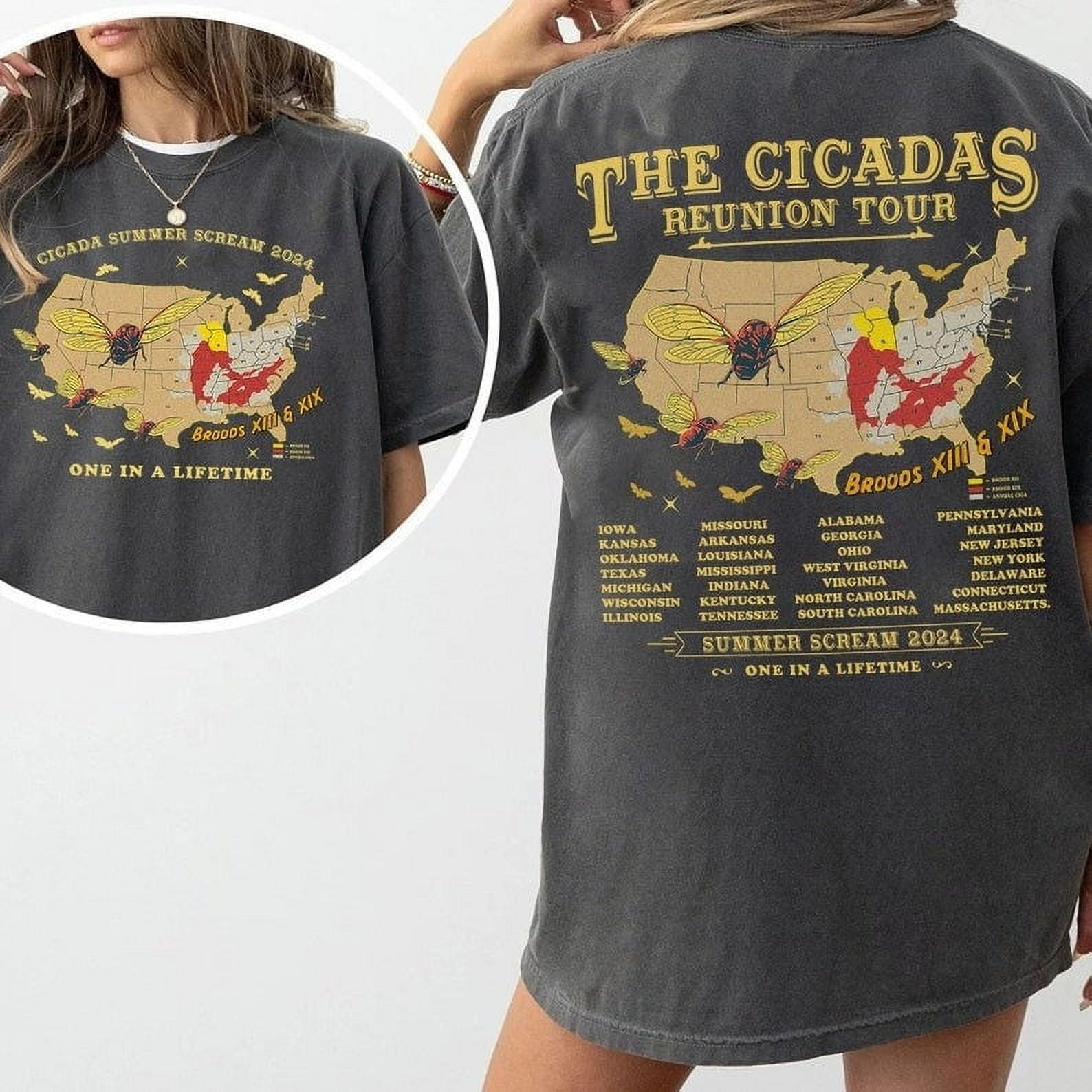 Cicadas Summer Scream Reunion Tour 2024 Shirt, The Cicada Concert Tour ...