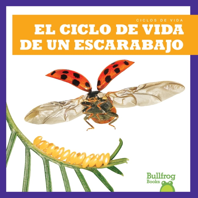Ciclos de Vida (Life Cycles): El Ciclo de Vida de Un Escarabajo (a Beetle's Life Cycle ...