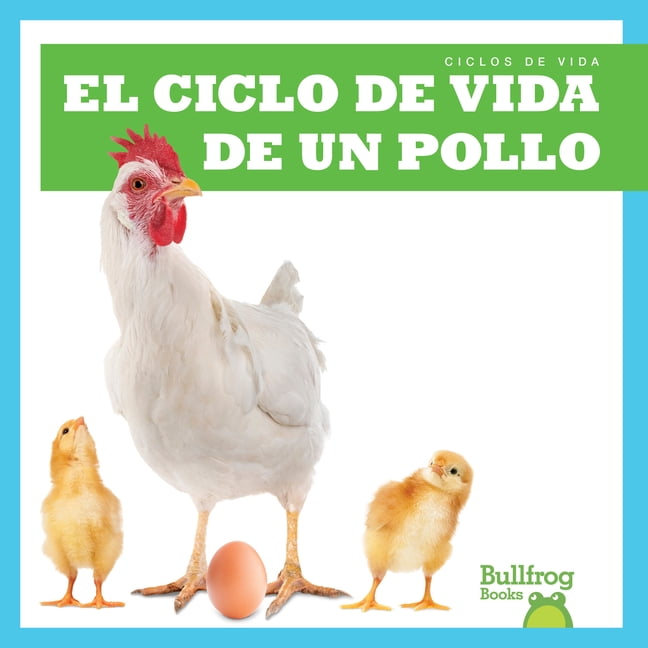 Ciclos de Vida (Life Cycles): El Ciclo de Vida de Un Pollo (a Chicken's ...