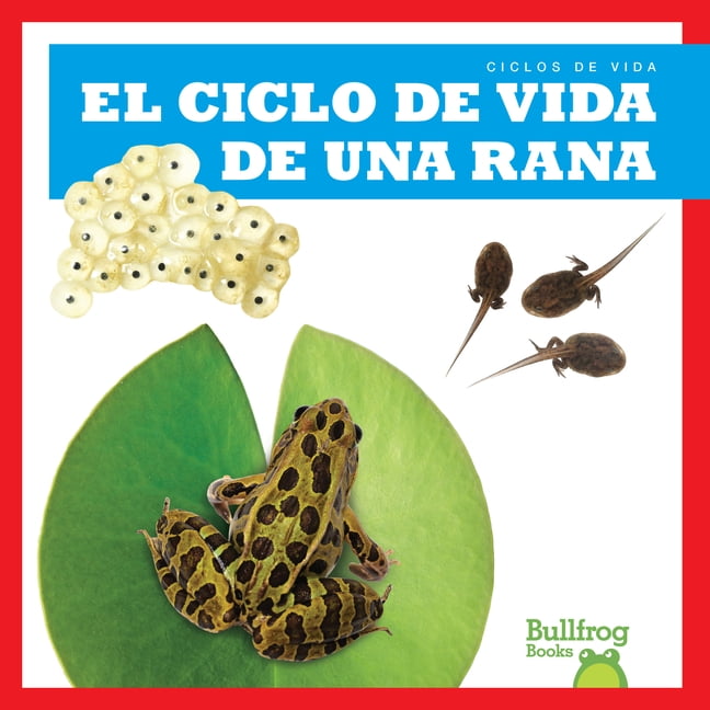 Ciclos de Vida (Life Cycles): El Ciclo de Vida de Una Rana (a Frog's ...