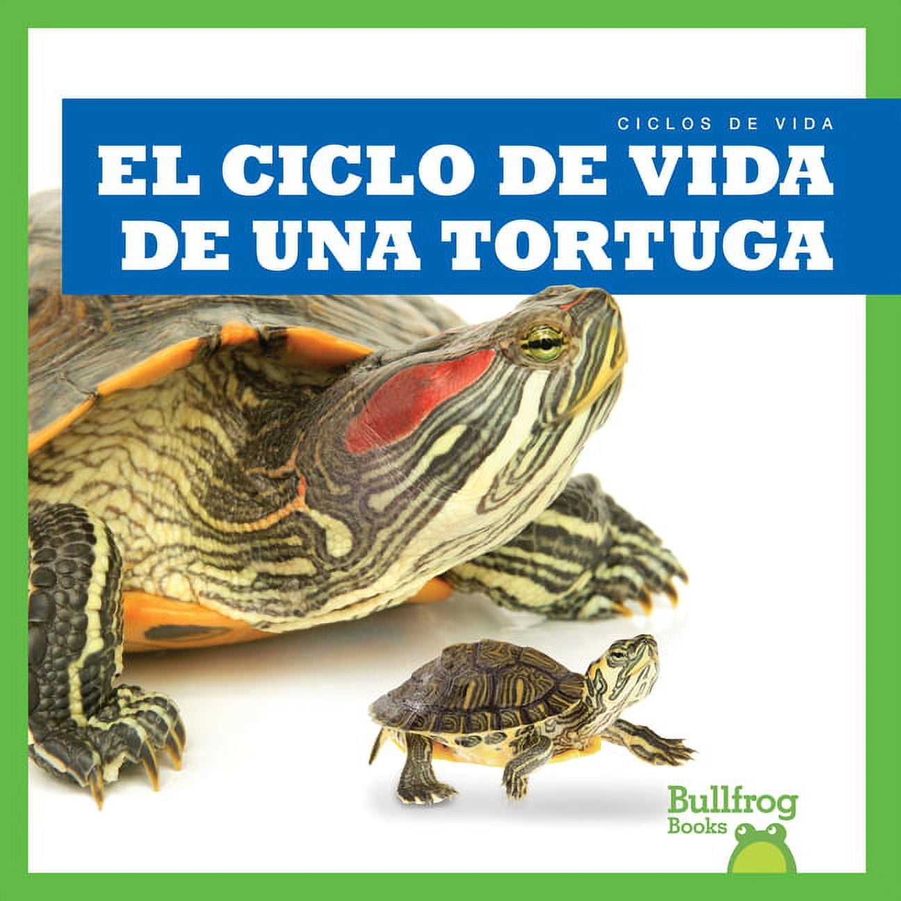 Ciclos de Vida (Life Cycles): El Ciclo de Vida de Una Tortuga (a Turtle ...