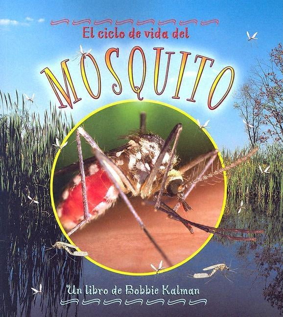Ciclos de Vida (the Life Cycle): El Ciclo de Vida del Mosquito (the ...