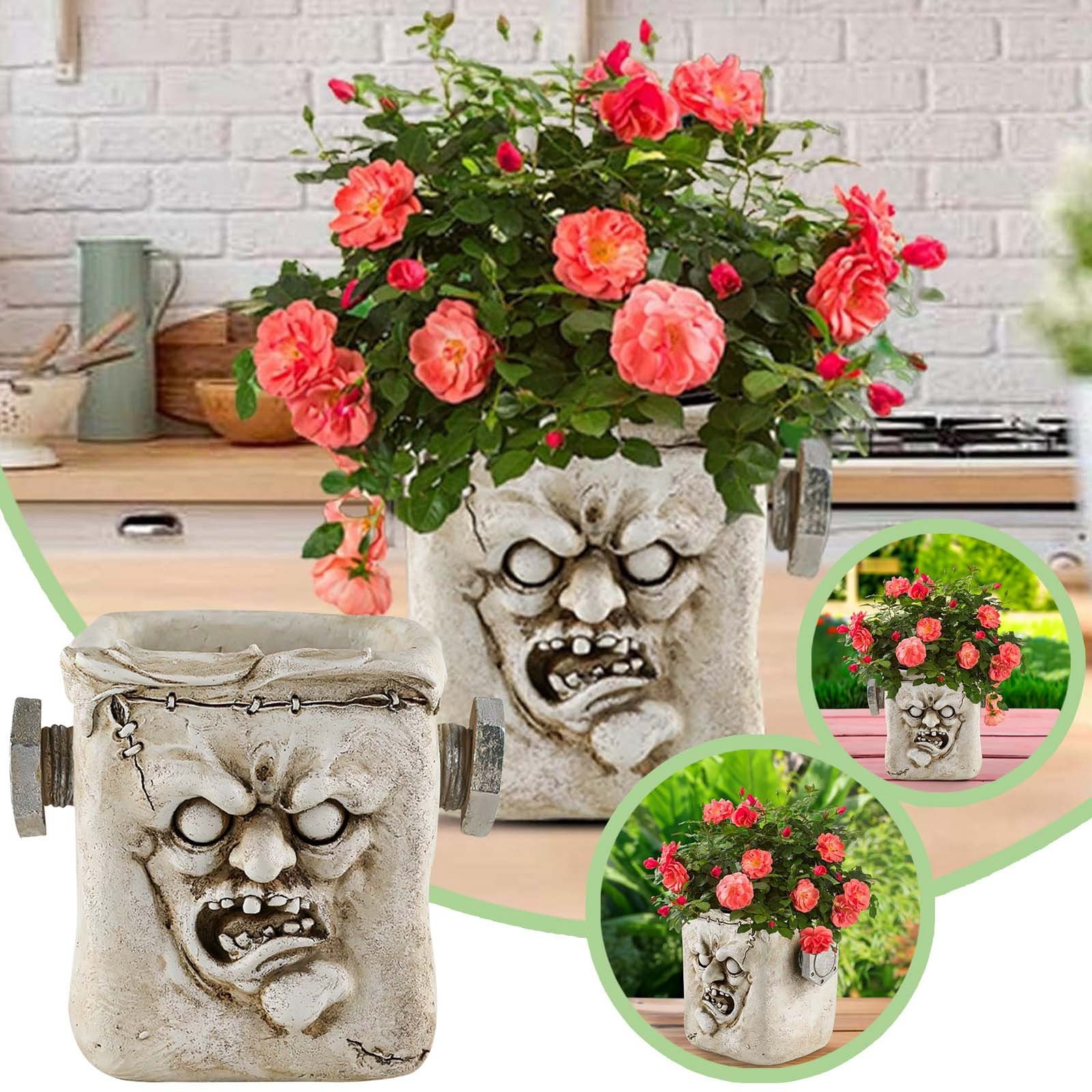 CieKen Face Flower Pot Face Flower Pot Head | Funny Clown Head Flower ...