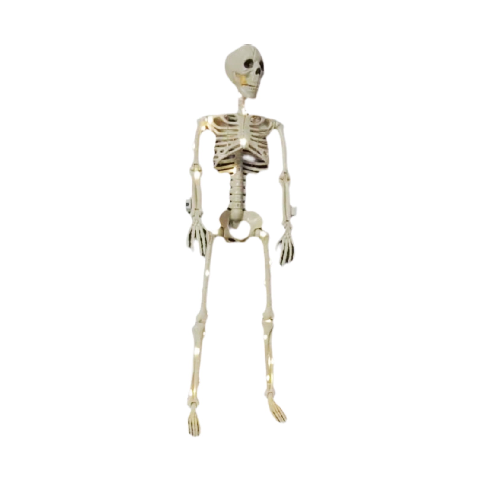 Cientrug Outdoor Halloween Skeleton Decor Weather-resistant Realistic ...