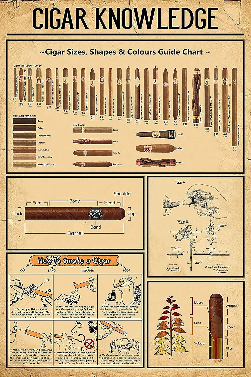 Cigar Knowledge Metal Tin Sign Cigar Size Shape Color Guide Diagram ...
