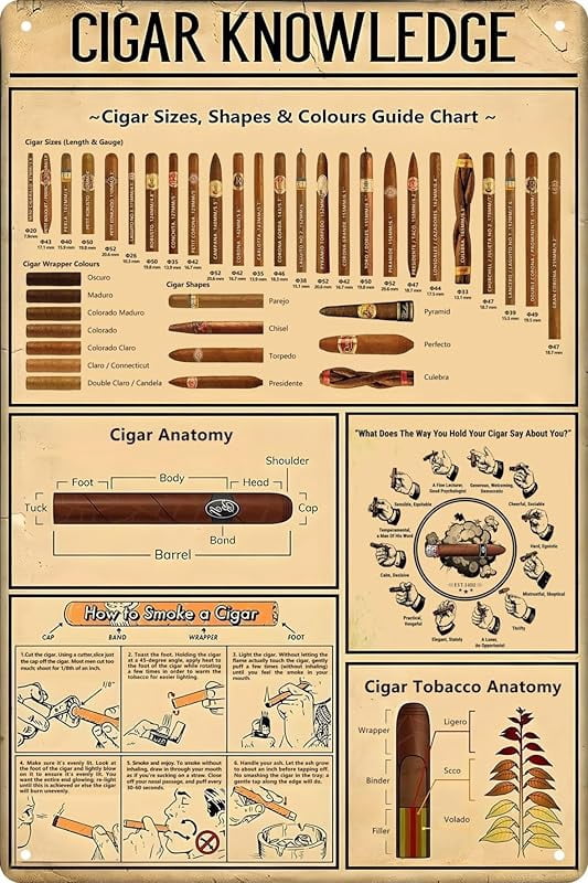 Cigar Quote Wall Decor Vintage Art Poster Plaque Cigar Knowledge Metal ...
