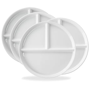 Compartment Dinner Plates