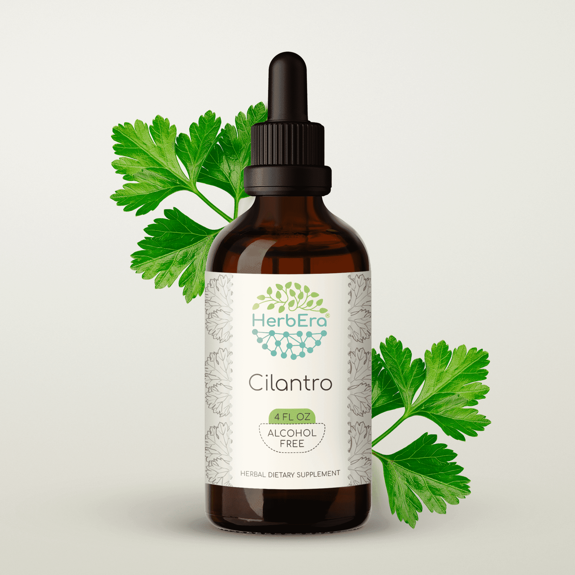 HerbEra Cilantro Tincture, Herbal Dietary Supplement for Detox and ...