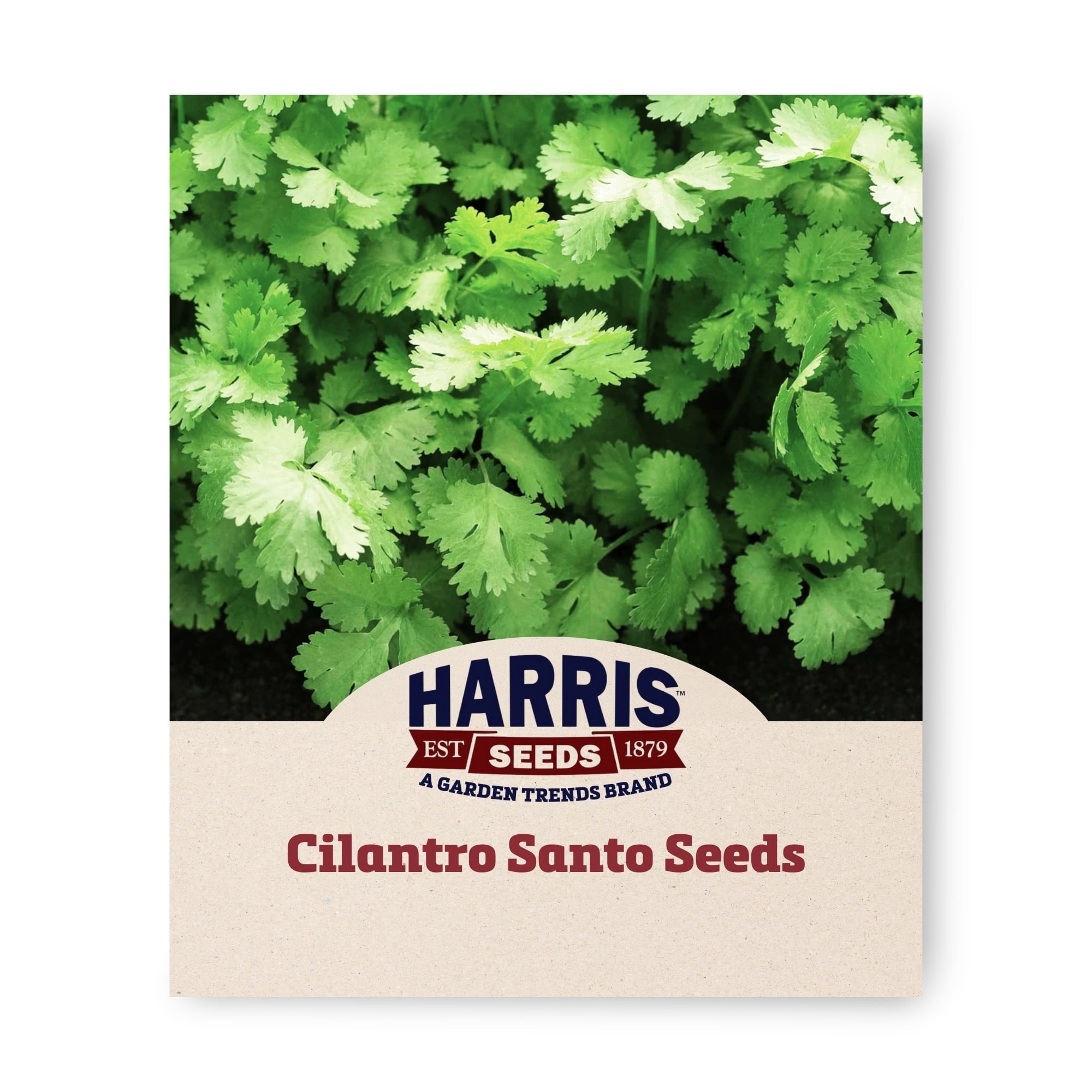 Harris Seeds Cilantro Santo Treated Variety, Slow-Bolting, Non-GMO, 1/4 ...