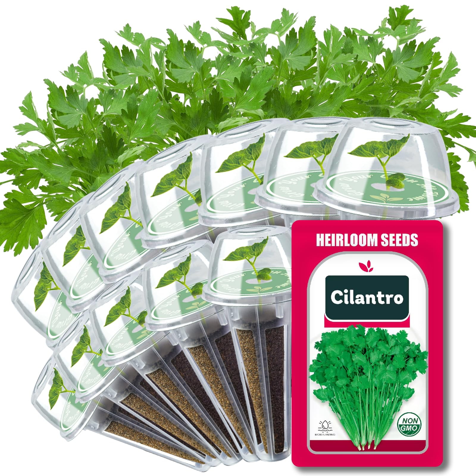Cilantro Seed Pods for All Hydroponics MVR1 Growing Systems, 12 Pods ...