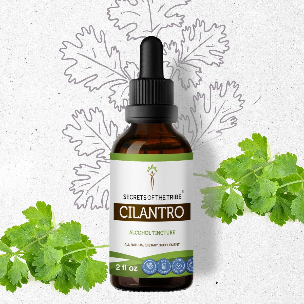 Cilantro Tincture Alcohol Extract, Organic Cilantro (Coriandrum Sativum ...