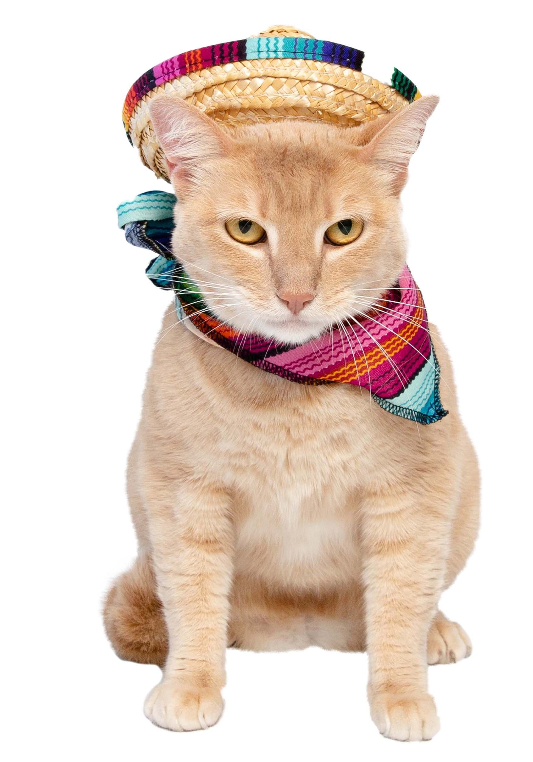 Cinco De Mayo Dog Costume & Cat Costume - 2 Piece Set Mexican Outfit ...